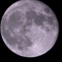 Burning Bright – Pauline Rowe